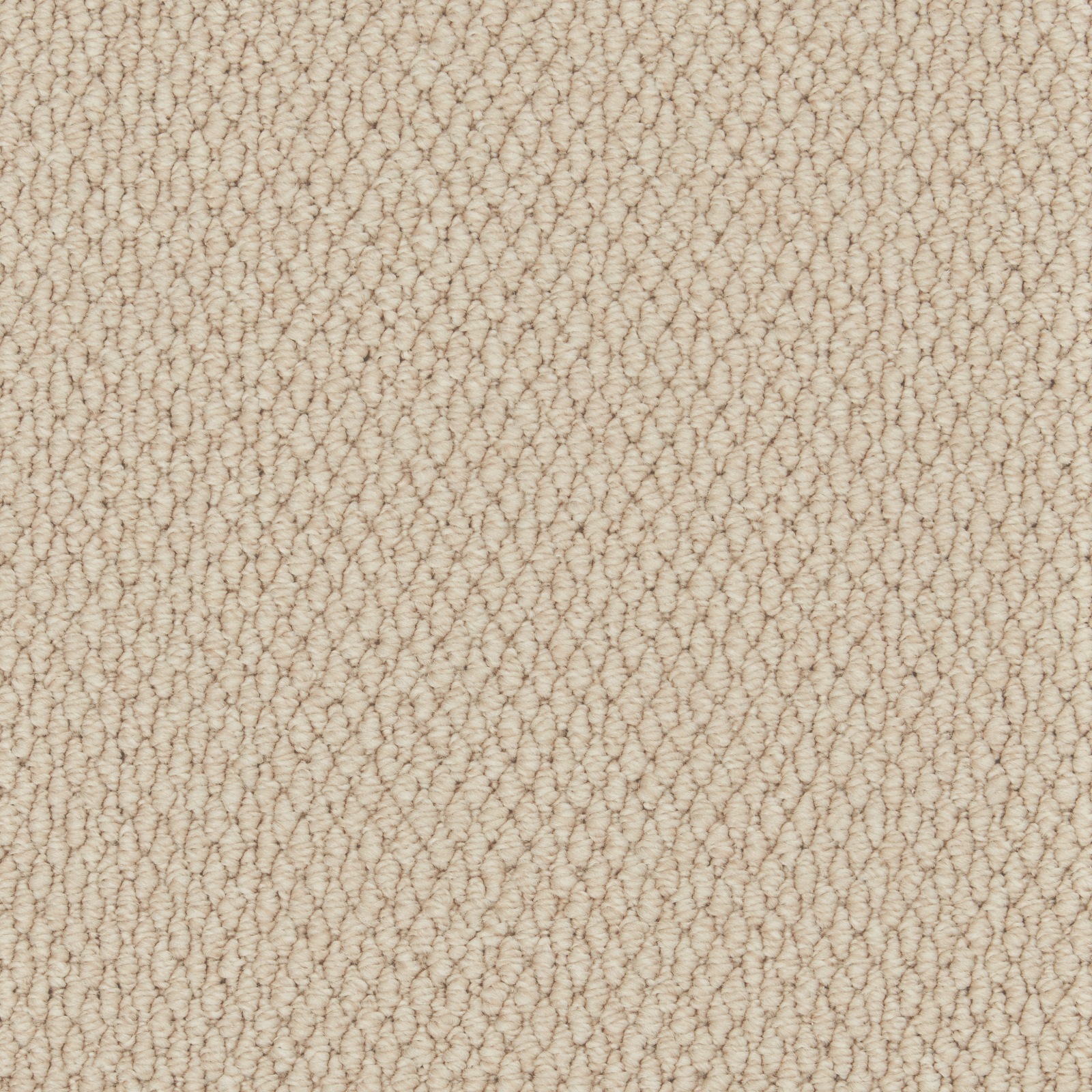 Canvas 5M (PRTE1004) - STS Flooring