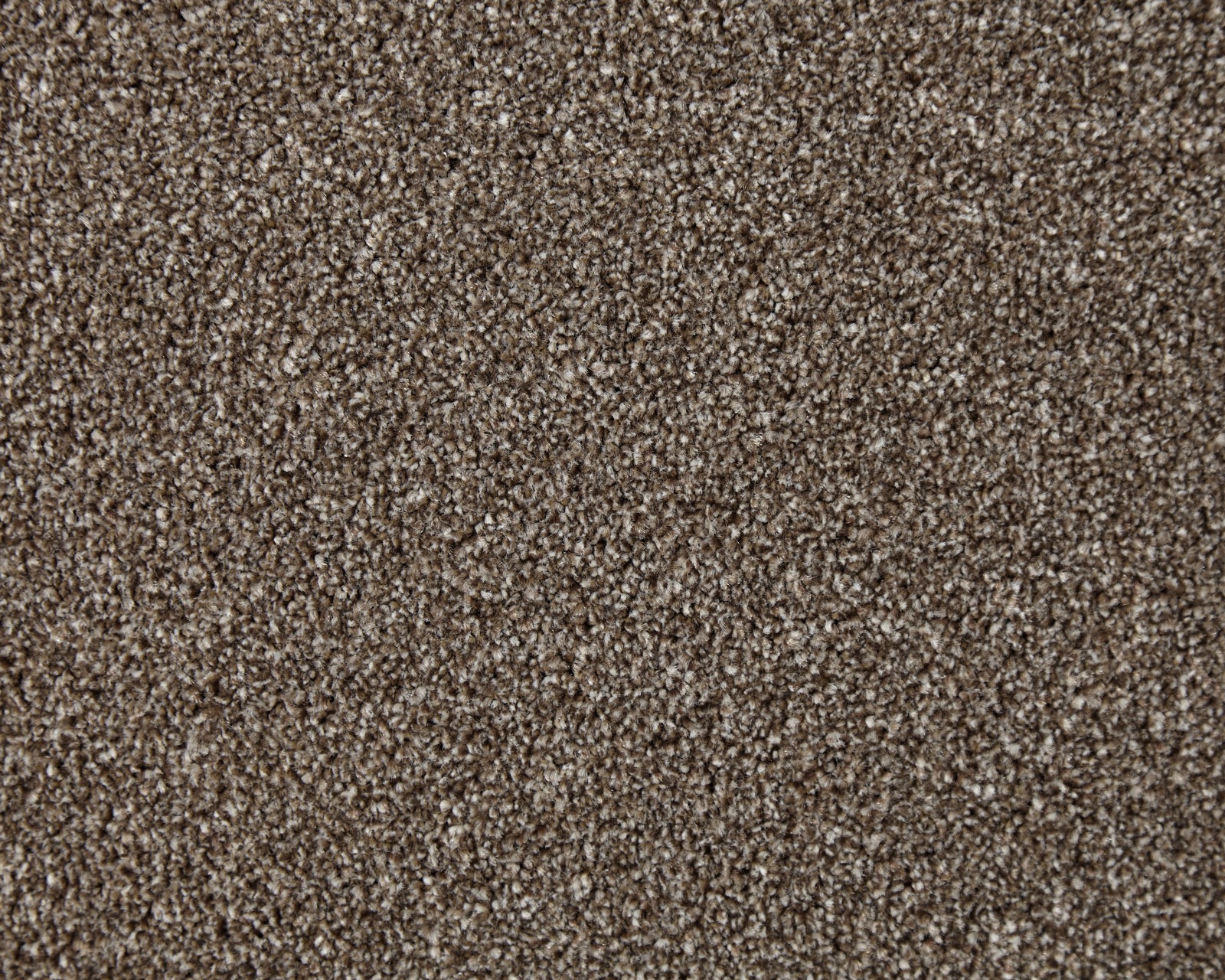 Carob 4M (PRIN0001) - STS Flooring