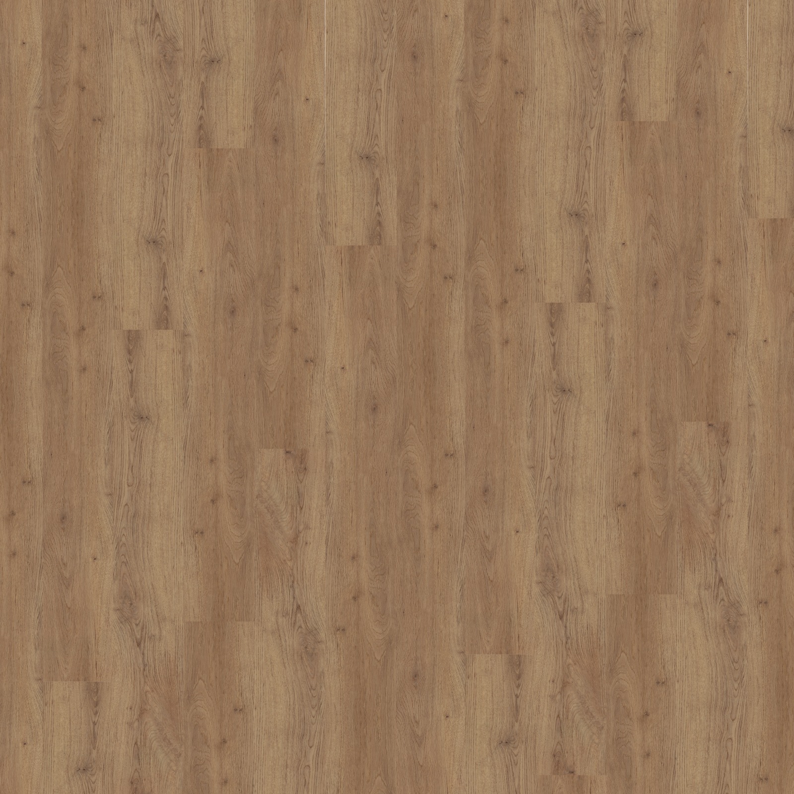 Cathedral Oak (1066) - STS Flooring