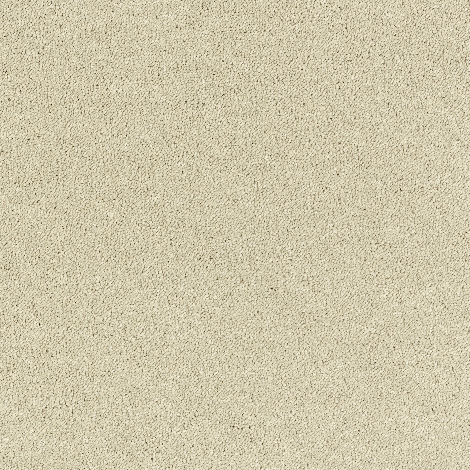 Cotton 4M (SOPH0009) - STS Flooring