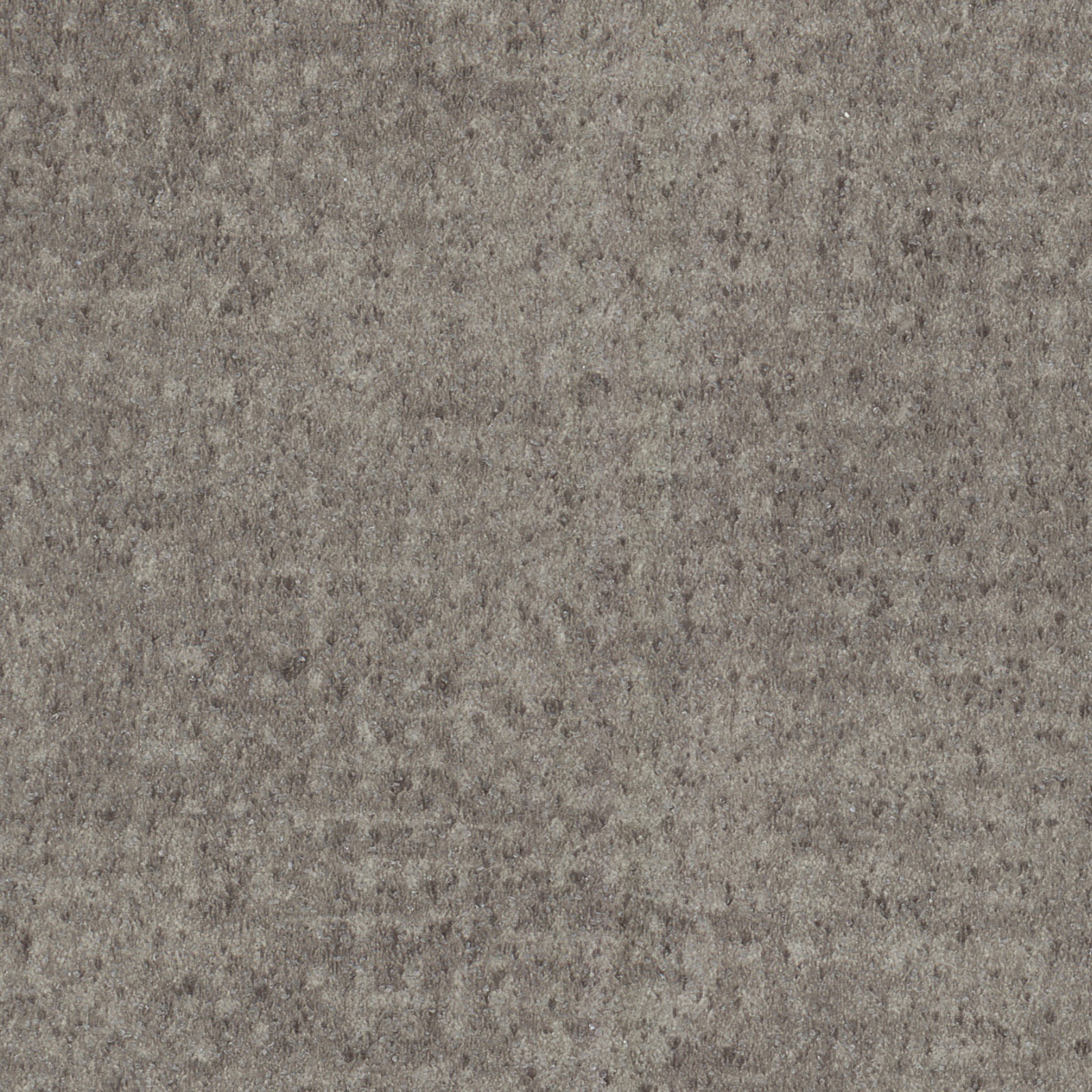 Deep Fossil 5082 (POLS7051) - STS Flooring