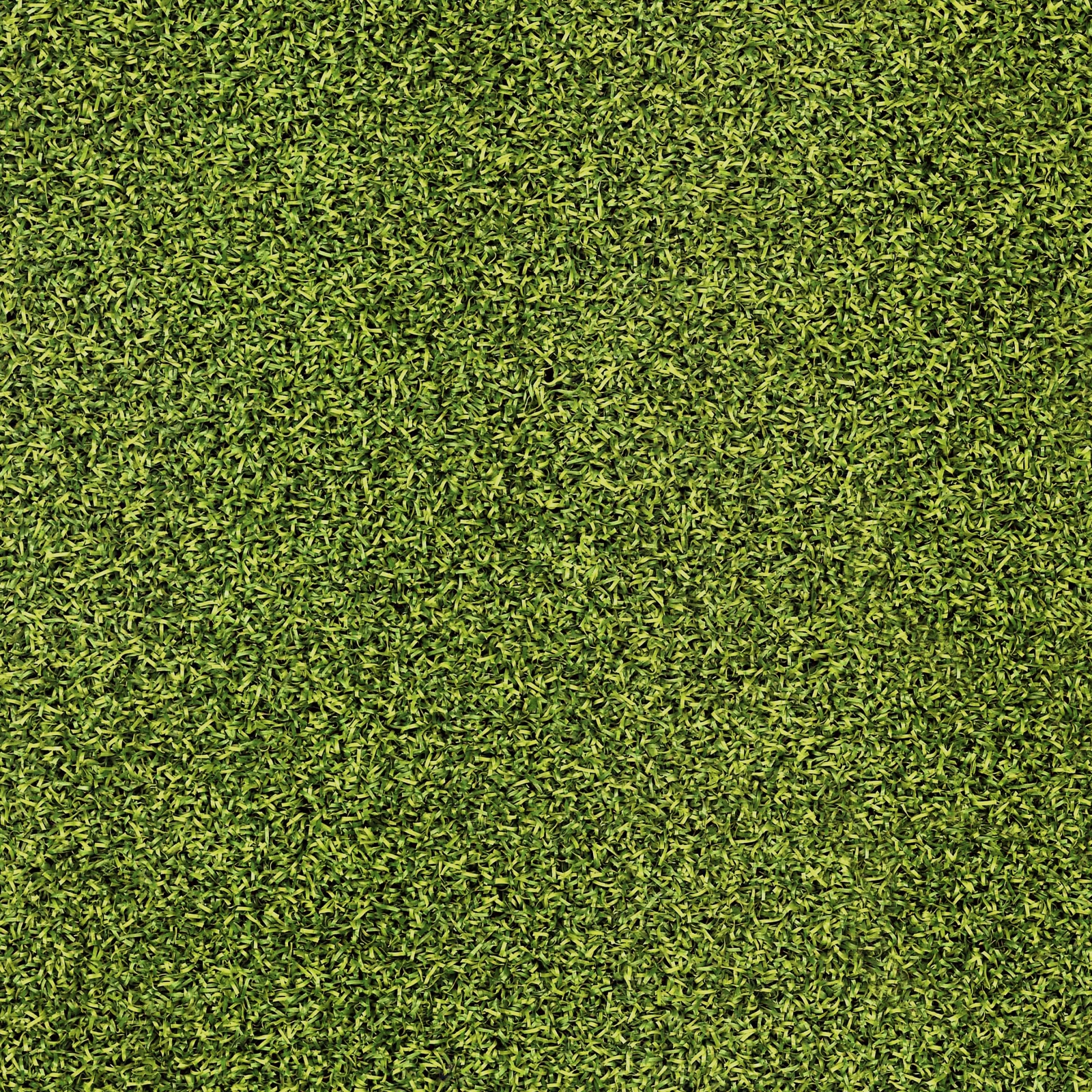 Golf 4M (CLAG0009) - STS Flooring