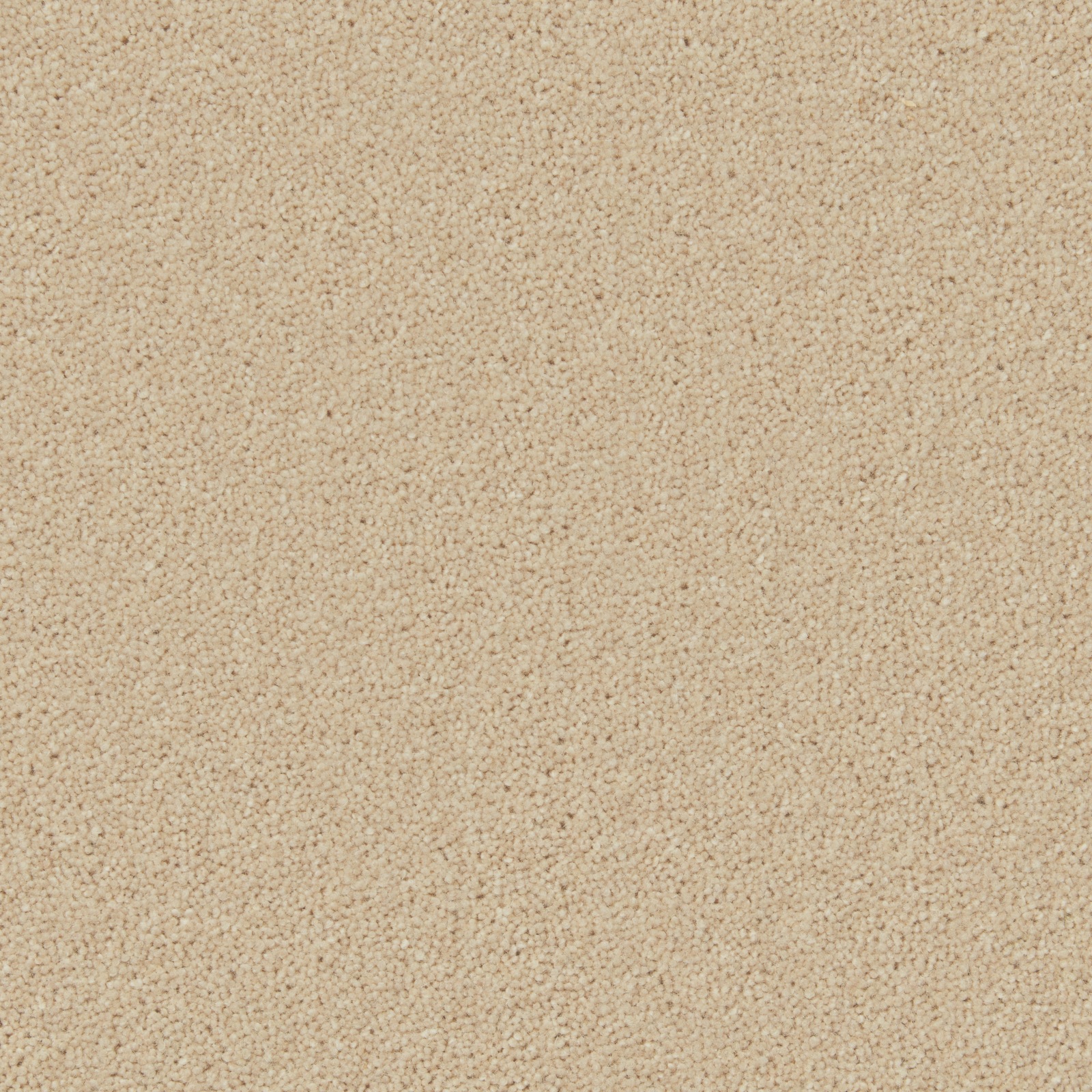 Rice 5M (RAVC1019) - STS Flooring