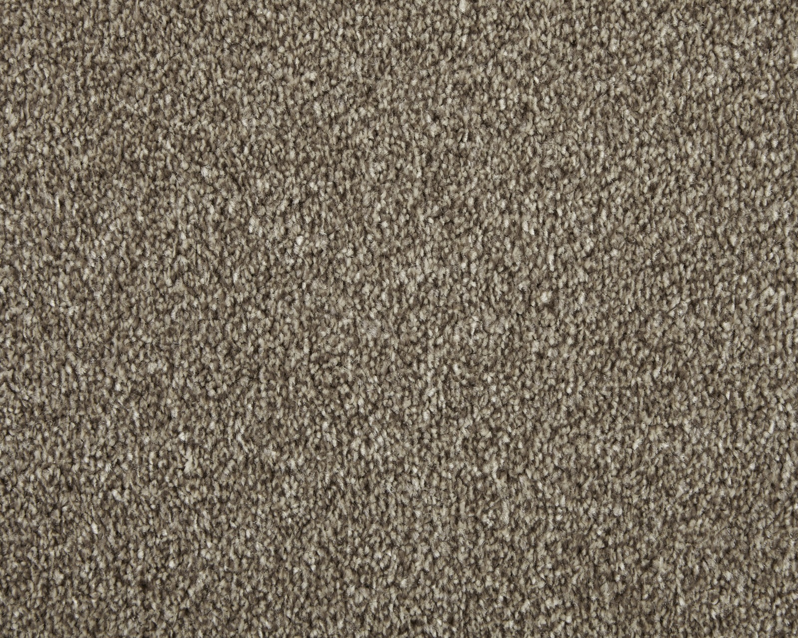 Roman Stone 5M (APEL1008) - STS Flooring