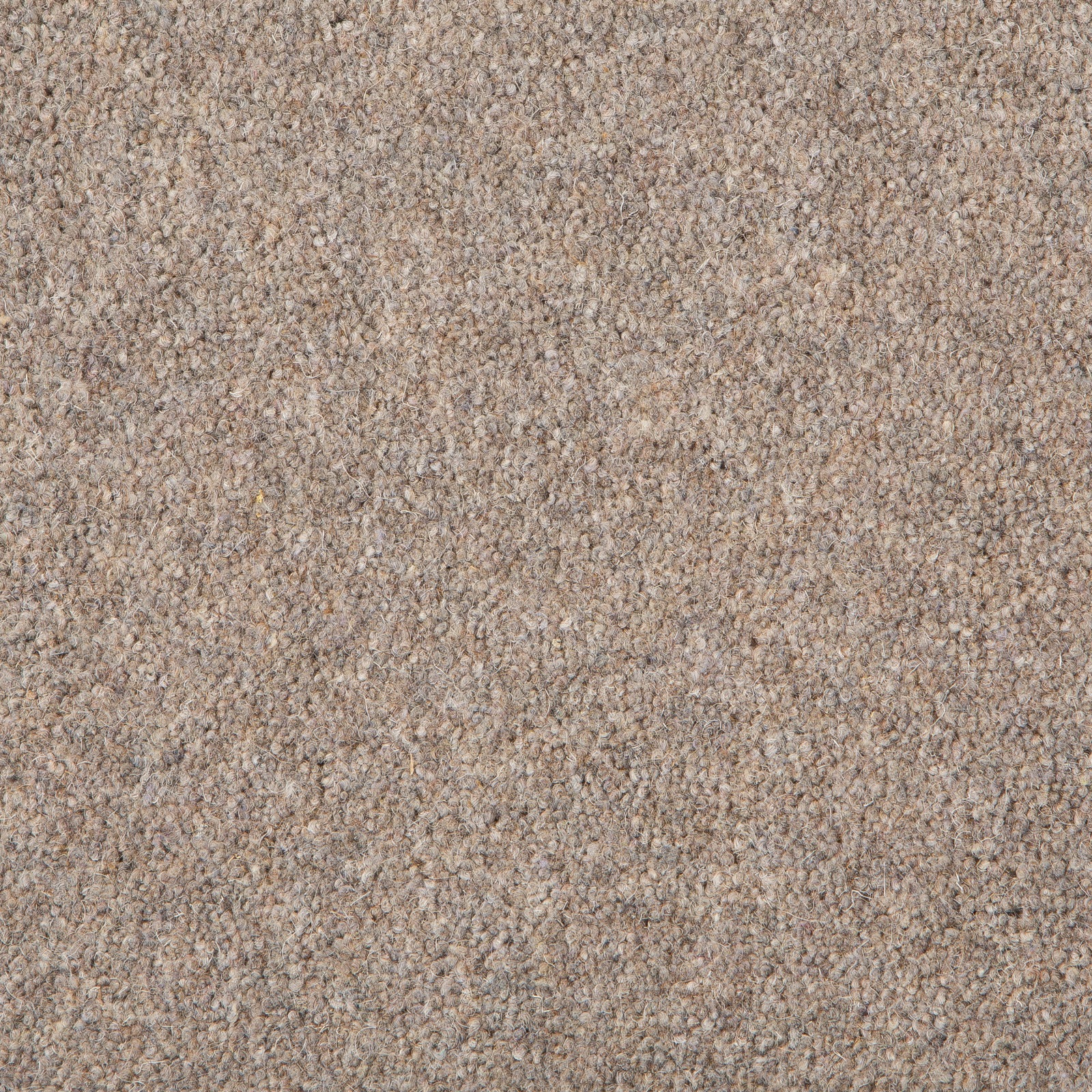 Steel 4M (ABSP0003) - STS Flooring